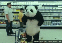 Panda Smashing Computer Gif
