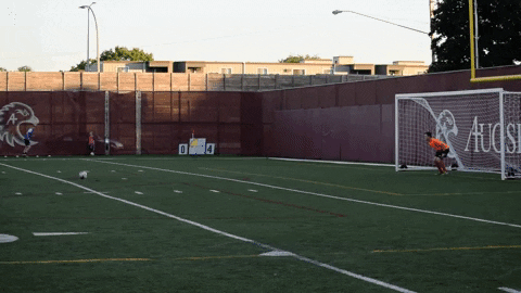 Soccer Goal GIF by Minneapolis City SC - Find & Share on GIPHY