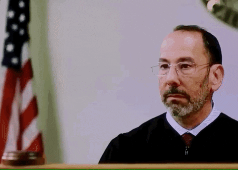 Judge Levenstein GIFs - Get the best GIF on GIPHY