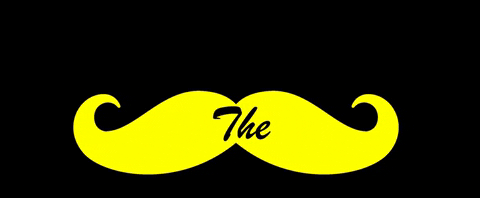 Twenty-somethings GIFs - Get the best GIF on GIPHY