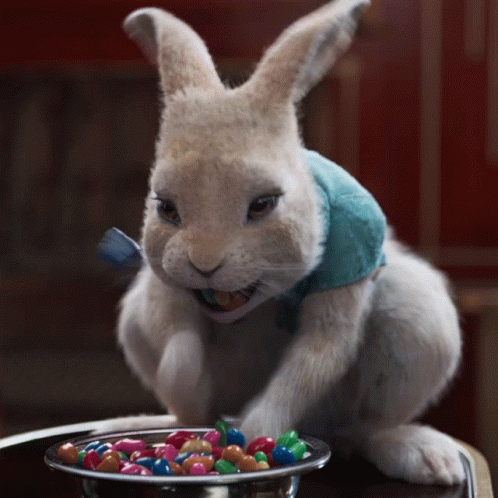 Funny Bunny Gif