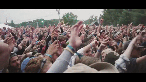 Levitate Music Festival GIFs - Get the best GIF on GIPHY