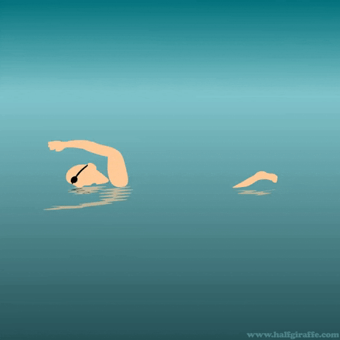 Water Swimming GIF by William Garratt - Find & Share on GIPHY