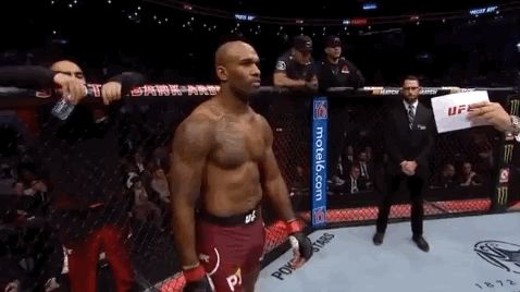 Ufc 231 Sport GIF by UFC - Find & Share on GIPHY