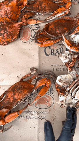 Seafood Crabs GIF by The Crab Place - Find & Share on GIPHY