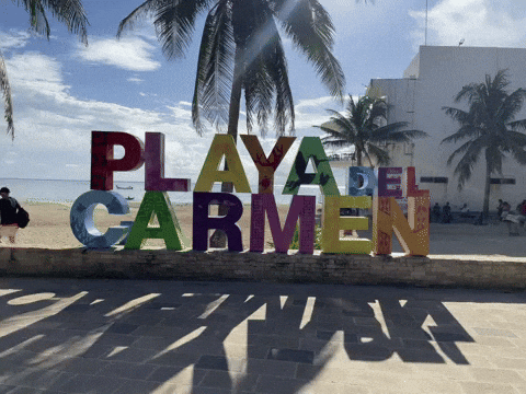 Playa Playa Gif