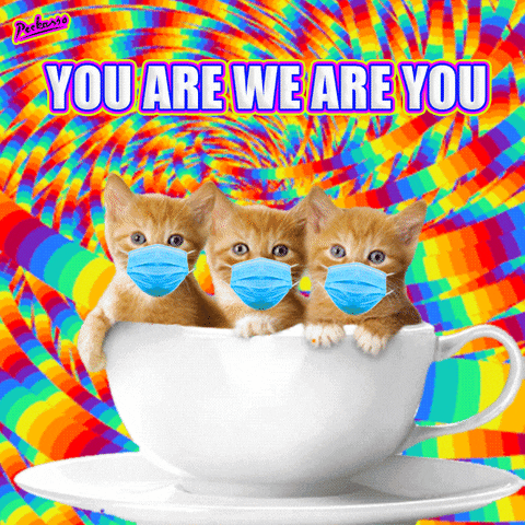 Tripple GIFs - Get the best GIF on GIPHY