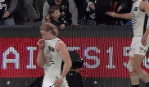 Carlton Football Club GIFs on GIPHY - Be Animated