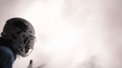 Monarch Colony GIFs - Find & Share on GIPHY