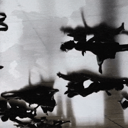 Contact Improvisation GIFs - Get the best GIF on GIPHY