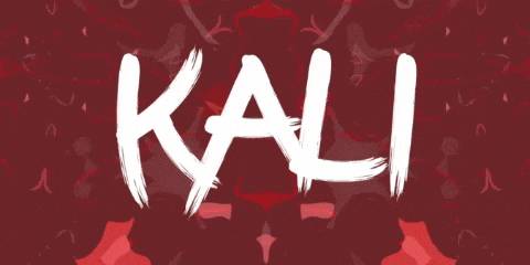 Down-the-ladder-kali GIFs - Get the best GIF on GIPHY