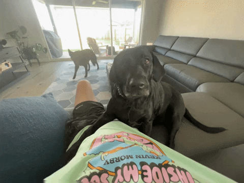 Umatilla County Fire District #1 GIFs on GIPHY - Be Animated