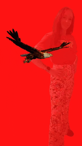 Eagle Medicine Psychic Readings GIFs on GIPHY - Be Animated