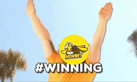 Winner Winning GIF by FENNEL - Find & Share on GIPHY