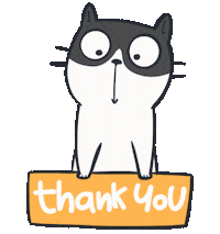 Thanks Cat Gif