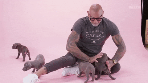 Puppy Interviews GIFs on GIPHY - Be Animated