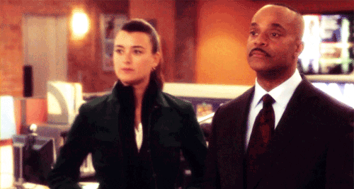 Team Imagine where the reader is a new member of team Gibbs and they ...