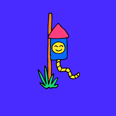 Happy Fireworks GIFs - Get the best GIF on GIPHY