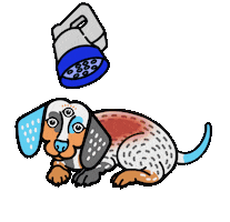 Hello Human GIFs on GIPHY - Be Animated