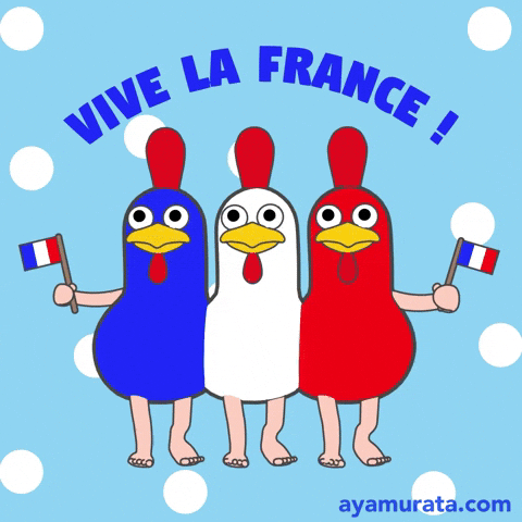 Francais GIFs - Get the best GIF on GIPHY