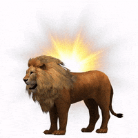 Lion Roar Animated Gif