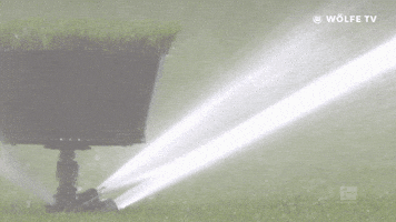 Think Tank - Leon Davis Medal 2024 - A Tie! Congratulations Papley and ...