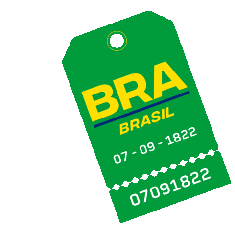 Brazil Latino Sticker by Vevo for iOS & Android | GIPHY