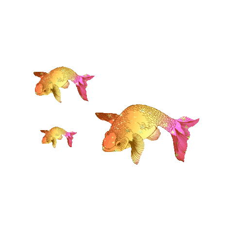 Transparent Fish Gif