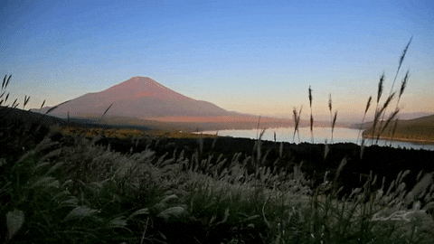 Fuji Superia GIFs - Get the best GIF on GIPHY