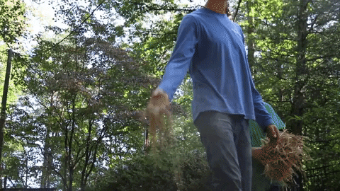 Grass Seed GIFs - Find & Share on GIPHY