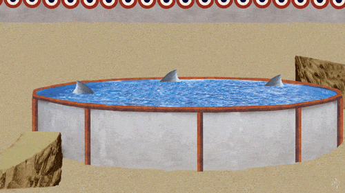 Jesus Jumping The Shark GIFs - Get the best GIF on GIPHY
