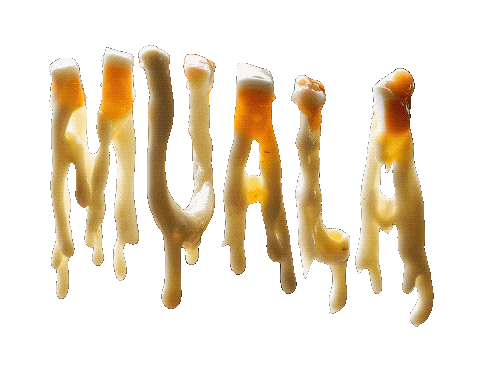 Muala GIFs on GIPHY - Be Animated