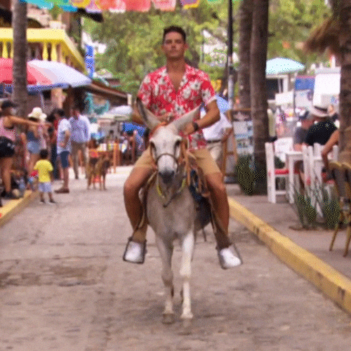 Cartoon Riding A Donkey