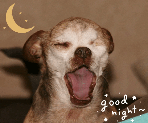 Good Night Yawn GIF by Harley's Dream - Find & Share on GIPHY