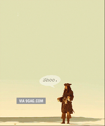 Shoo GIFs - Find & Share on GIPHY