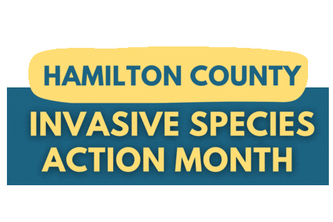 Hamilton County Invasive Species Partnership GIFs on GIPHY - Be Animated