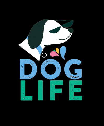 Dogs-life GIFs - Get the best GIF on GIPHY