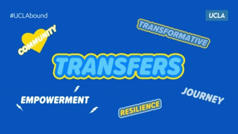 Transfers GIFs on GIPHY - Be Animated