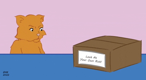 Cat Curious GIFs - Get the best GIF on GIPHY