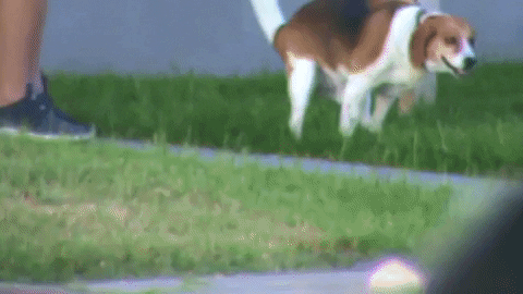 HUNNY GIFs - Find & Share on GIPHY