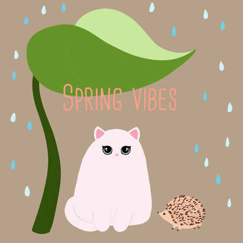 Cat Green GIFs - Get the best GIF on GIPHY