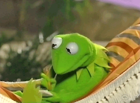 Cancel Kermit The Frog GIF by Muppet Wiki - Find & Share on GIPHY