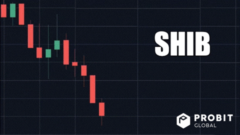 Shib GIFs - Get the best GIF on GIPHY
