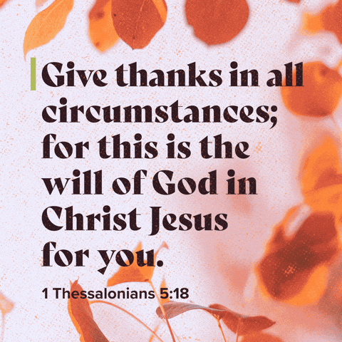 Thessa GIFs - Get the best GIF on GIPHY