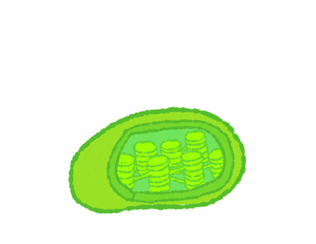 Nature Sticker for iOS & Android | GIPHY