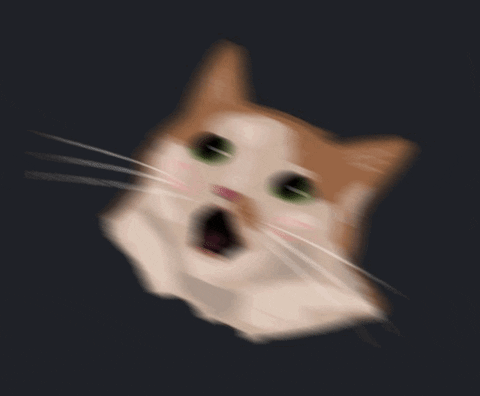 Cat Wow GIFs - Get the best GIF on GIPHY