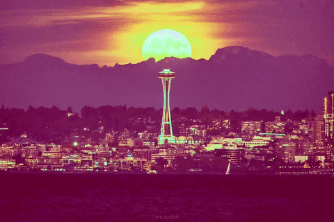Moody NW Real Estate GIF - Find & Share on GIPHY