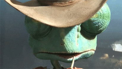 Iguanas GIFs - Get the best GIF on GIPHY