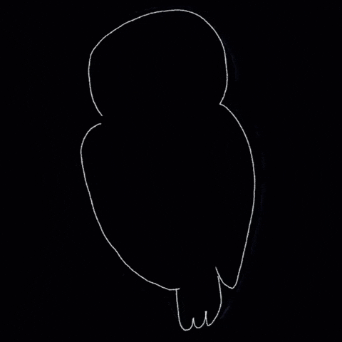 Peripheral Vision GIFs - Get the best GIF on GIPHY