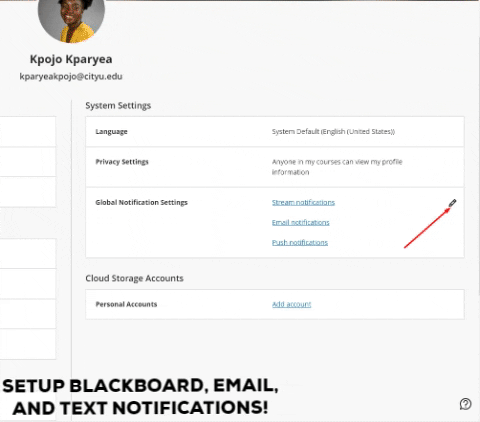 Streaming-notifications GIFs - Get the best GIF on GIPHY